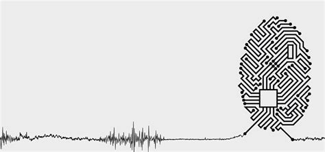 Humans Are Algorithms