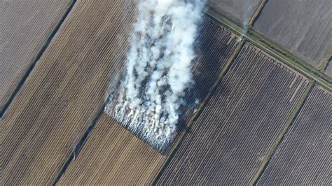 La Quema De Paja De Arroz En Los Campos El Humo De La Quema De Paja De