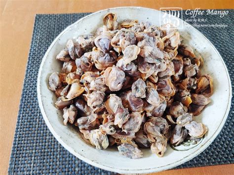 꼬막 해감법 해감시간 그리고 삶는법 손질법 까는법 네이버 블로그