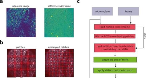Normcorre An Online Algorithm For Piecewise Rigid Motion Correction Of