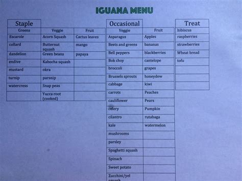 Iguana Food List What Do Iguanas Eat Zevflf