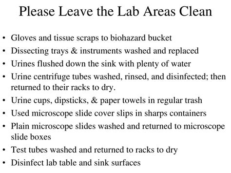 PPT Lab 9 PowerPoint Presentation Free Download ID 2241361