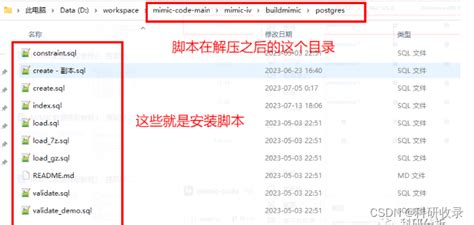 mimic数据数据库导入教程 mimic数据库导入 csdn博客