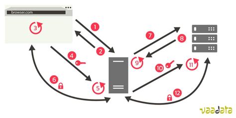 Certificate Pinning And Public Key Pinning