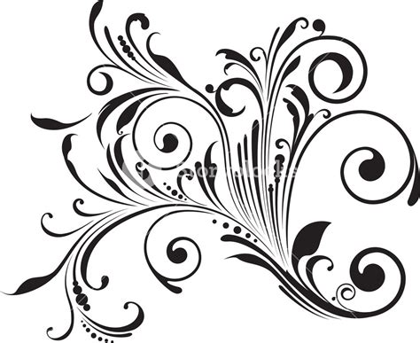 Floral Curl Vector Element Royalty Free Stock Image Storyblocks