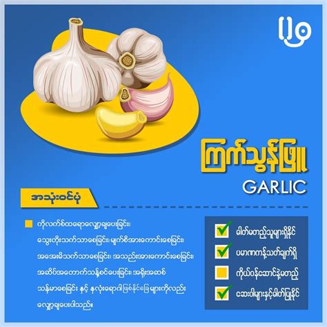 Hello ဆရာ၀န္ ကြက်သွန်ဖြူမှာ ပါဝင်တဲ့ ဆာလဖာဒြပ်ပေါင်းဟာ