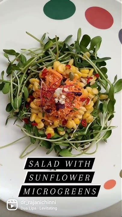 Microgreens The New Superfood Of 21st Century E Book In Amazon