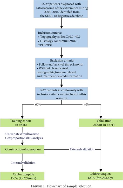 Figure 1 From Development And Validation Of Nomogram Based Prognosis Tools For Patients With