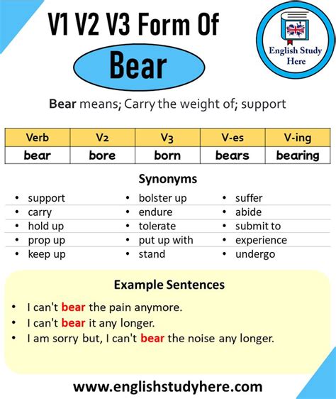 Past Tense Of Bear Past Participle Of Bear V1 V2 V3 V4 V5 Form Of