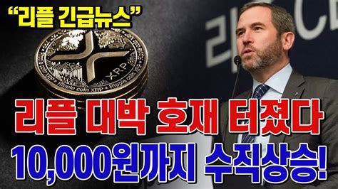 리플 지금 리플 대박호재 터졌다 미국은 이미 매집중 10000원까지 수직상승합니다 리플 리플코인 리플전망