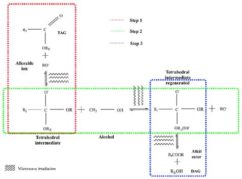 Sequence Of The Transesterification Reaction Of Oil Using Alkaline