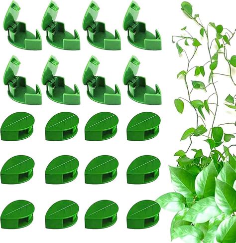 60 Pièces Clip Plante Grimpante Mur Clips Plantes Auto Adhésifs En