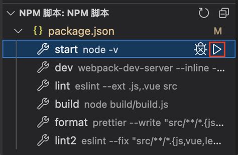 How To Run A Npm Script Command By Node Version That Specified By Nvm In Vs Code Stack Overflow