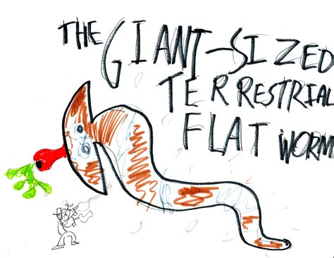 Flatworm Phylum