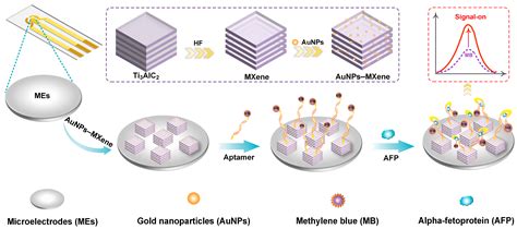 A Signal On Microelectrode Electrochemical Aptamer Sensor Based On