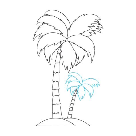 How To Draw A Palm Tree Step By Step