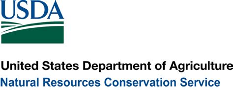Mrcs Logo