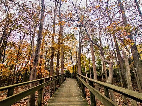 This 1336 Acre State Park In Ohio Hides One Of The Best Beaches In The