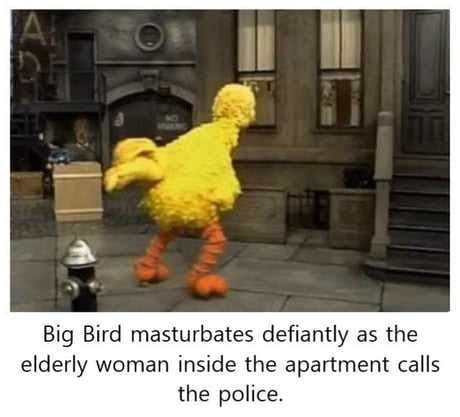 Best Funny Big Bird Memes 9gag