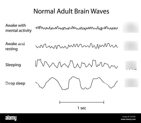 Psychology 102 Chapter 5 Consciousness And Sleep Diagram Quizlet