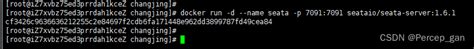 Docker中安装seata，以nacos为配置中心docker安装seata Csdn博客