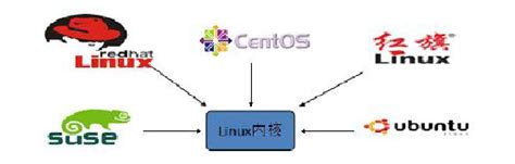 Linux 入门 及其常用指令虚拟机乌班图colorauto是什么 Csdn博客