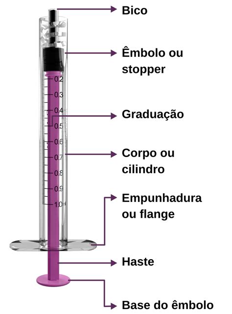 Tipos De Seringas Quais Modelos E Indicações