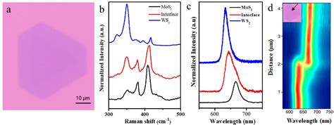 Figure 1 From Edge Epitaxial Growth Of Mos2 Ws2lateral Heterostructure