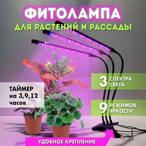 Фитолампа, светильник для растений, фитосветильник для рассады, цветов ...