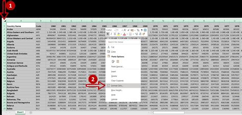 How To Lock Column Width In Excel Spreadcheaters