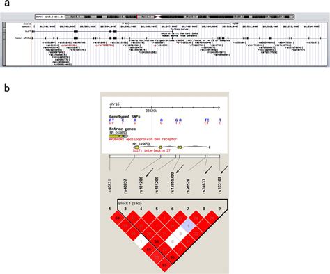 Regional Plots Based On The Ucsc Data Sets And Ld Block Based On The Download Scientific