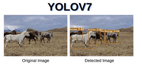 custom object detection with yolov7 a step by step guide by