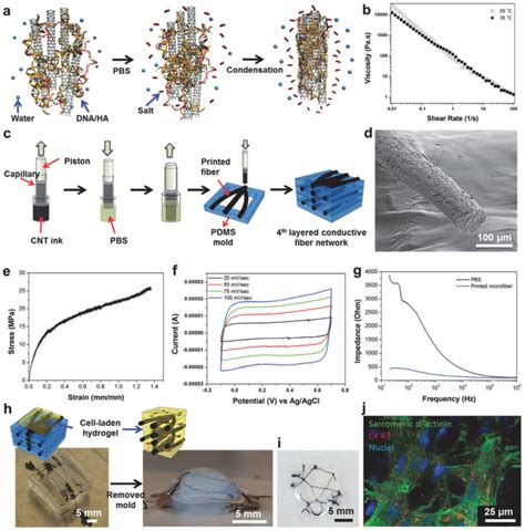 Bioinks For 3d Bioprinting An Overview Abstract Europe Pmc