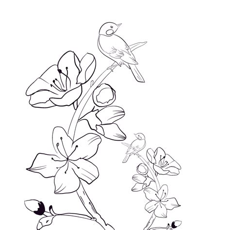 Line Drawing Magpies On Tanabata Festival Tanabata Qixi Festival