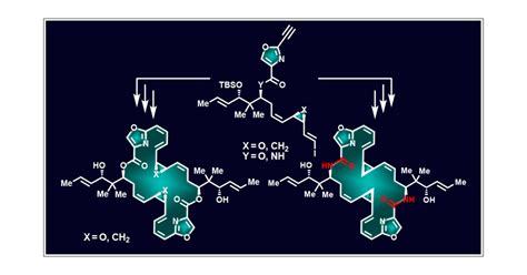 Streamlined Symmetrical Total Synthesis Of Disorazole B1 And Design Synthesis And Biological