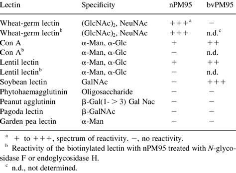 Summary Of The Binding Of Biotinylated Lectins To Npm95 And Bvpm95