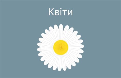 Анімація Анімовані css фони