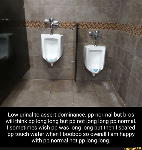 Urinal Memes Best Collection Of Funny Urinal Pictures On Ifunny