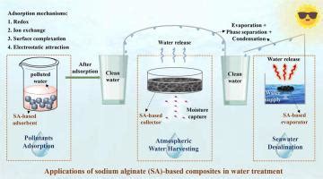 A Critical Review Of Sodium Alginate Based Composites In Water