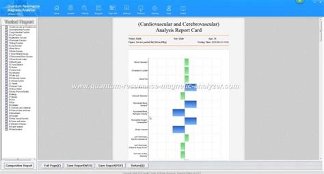 2017 Quantum Resonance Magnetic Analyzer Software Maikong Quantum