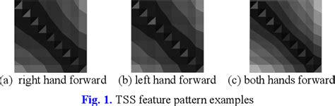 Figure 1 From Dynamic Gesture Recognition Using A Model Based Temporal Self Similarity And Its