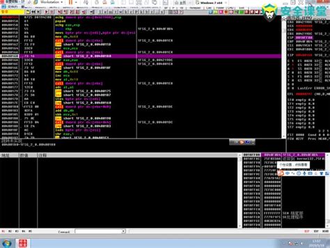 逆向工程与恶意代码分析吗视频 课件 VIPC 资源网