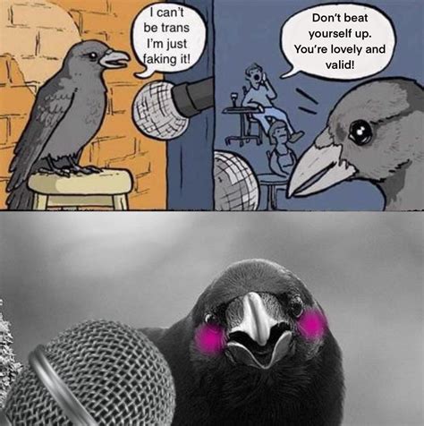 Egg ️ 🪺 Irl Reggirl