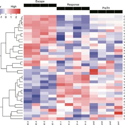 Hierarchical Clustering And Heat Map Analysis Expression Levels Of