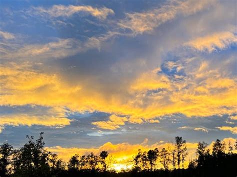 Minor Fossil Substack