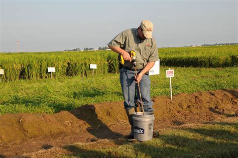 Agriculture Soil Testing Services At Rs 1500 In Noida ID 12720436230