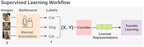Tổng quan về Self supervised representation learning học tự giám sát