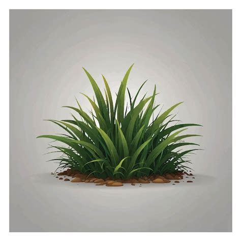 Premium Vector Green Grass Vector Design Image