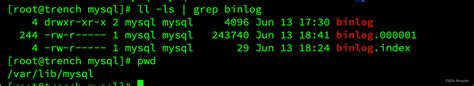Mysql 日志体系解析：保障数据一致性与恢复的三位英雄：redo Log、undo Log、bin Logredolog 保证了 Csdn博客