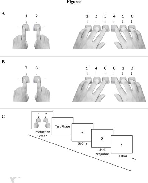 Figure 1 From Examining Procedural Working Memory Processing In